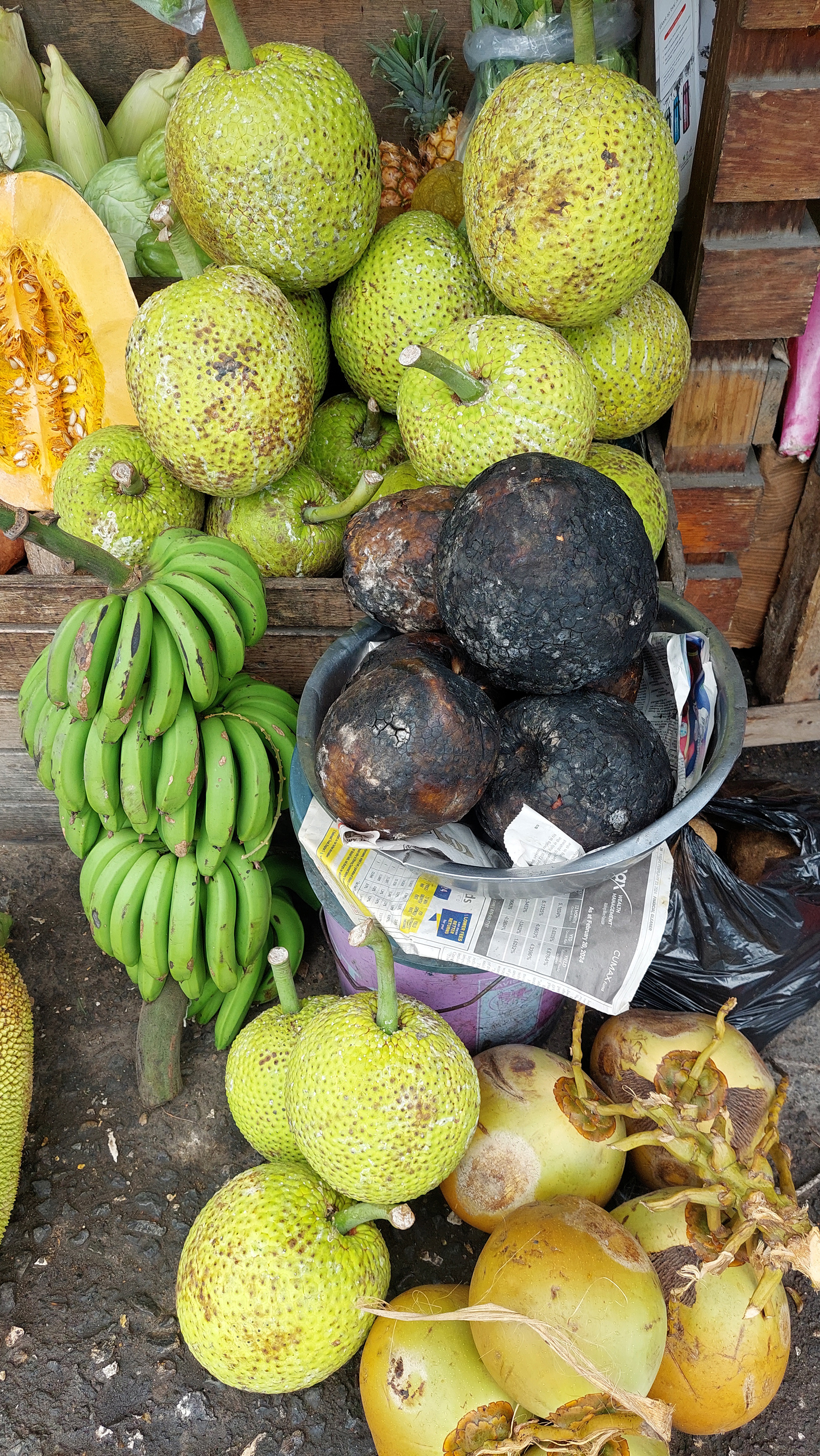GOLDEN BREADFRUIT SALAD WITH TURMERIC INFUSED HONEY-LIME DRESSING AND ...